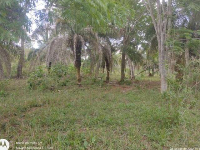Fazenda