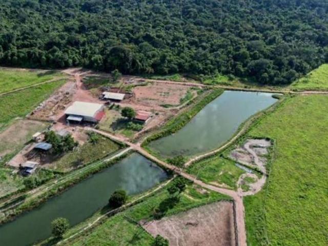 Fazenda