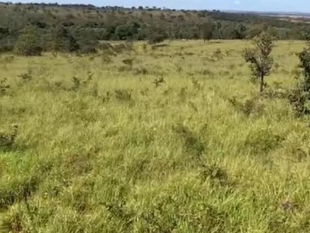 Fazenda