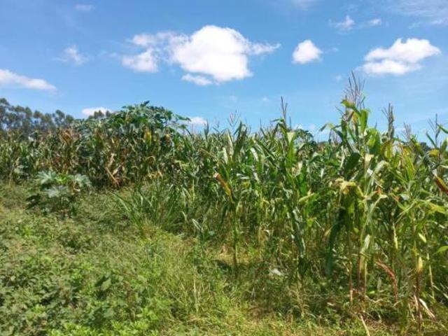 Fazenda