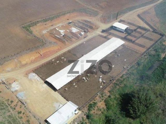 Fazenda
