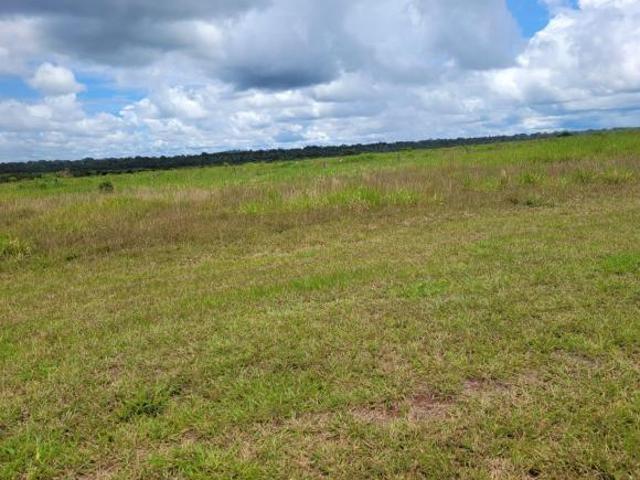 Fazenda