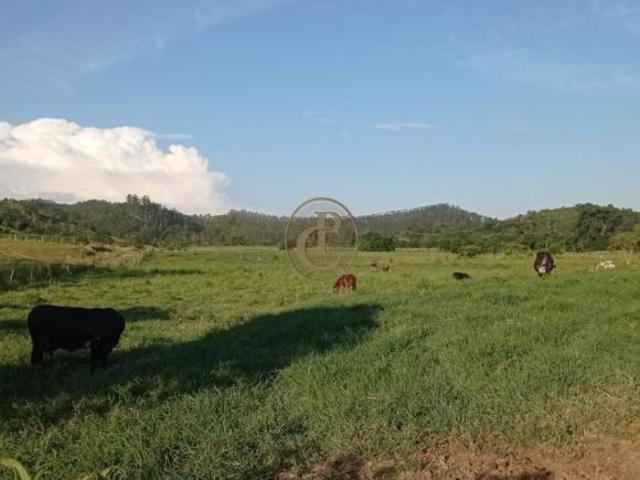 Fazenda