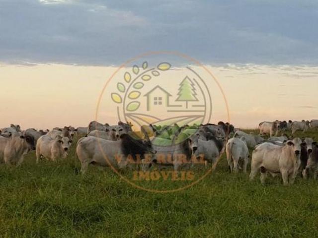 Fazenda