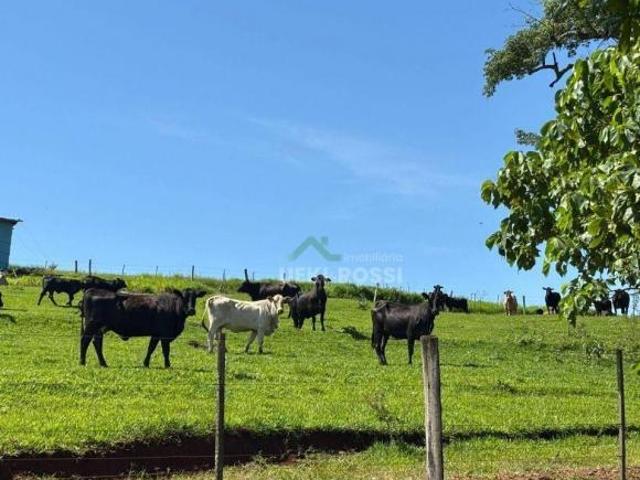 Fazenda