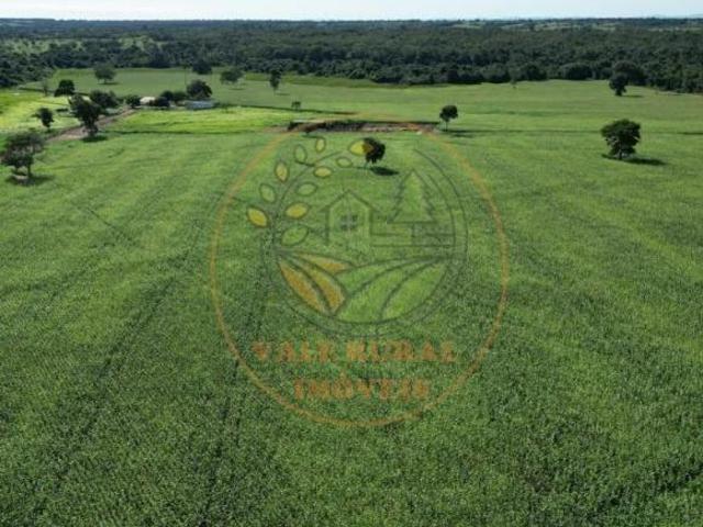 Fazenda