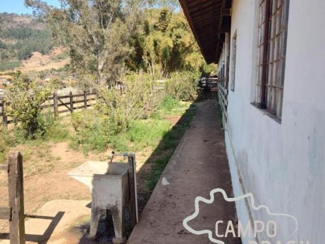 FAZENDA 57 ALQUEIRES EM SANTA RITA DO SAPUCAÍ !