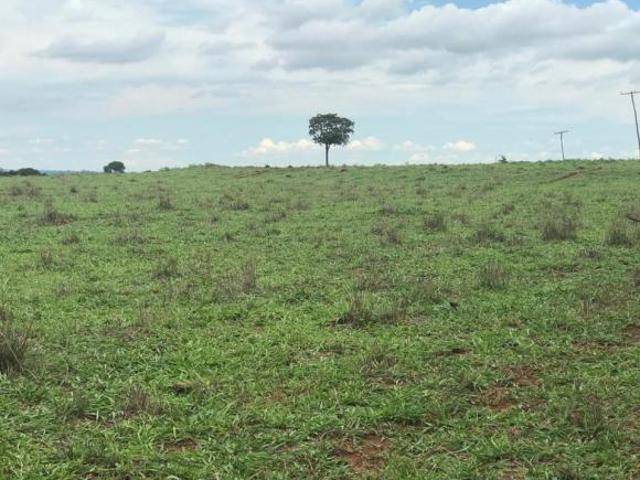 Fazenda