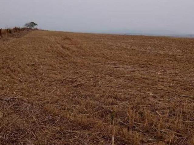 Fazenda para venda em Centro, Minduri