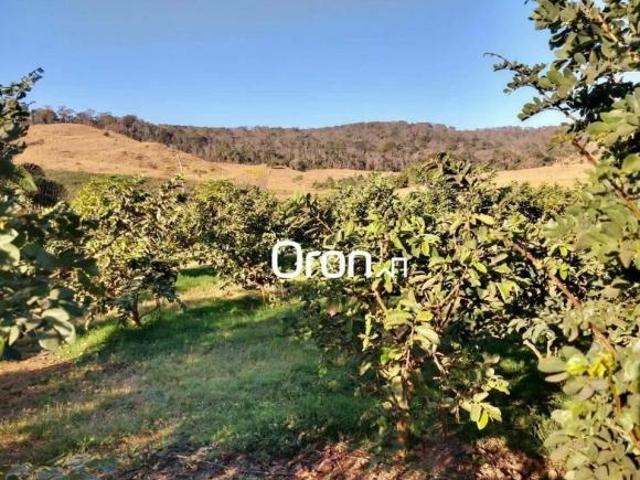 Fazenda