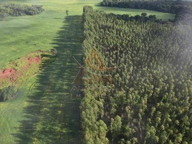 Fazenda