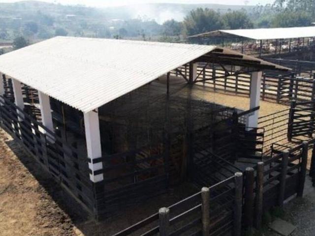 Fazenda