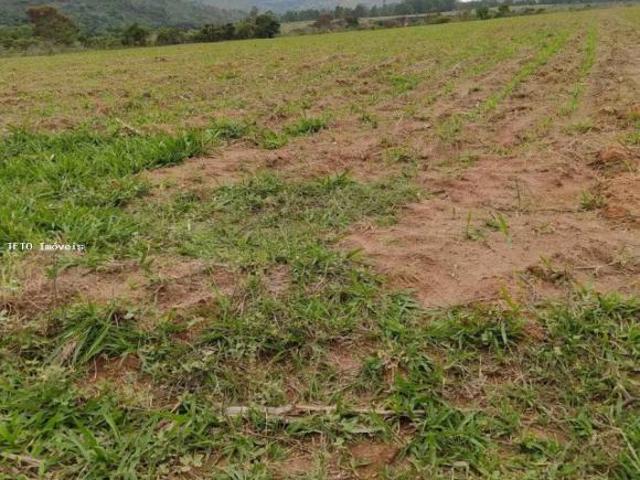Fazenda