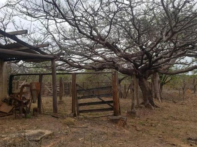 Fazenda