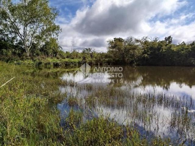 Fazenda 58 hectares, Curvelo/MG