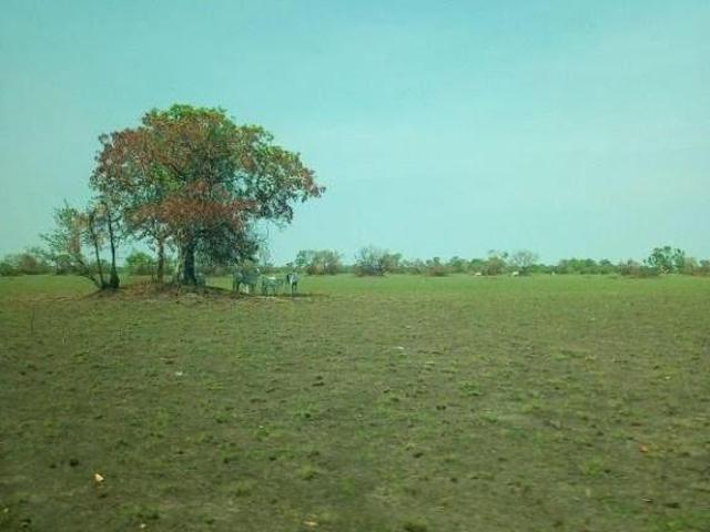 Fazenda