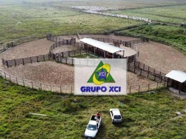 Fazenda