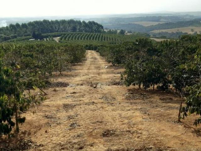 Fazenda
