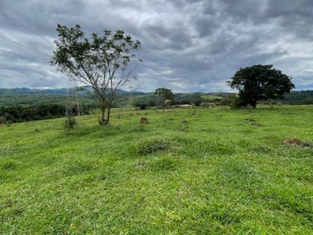 Fazenda