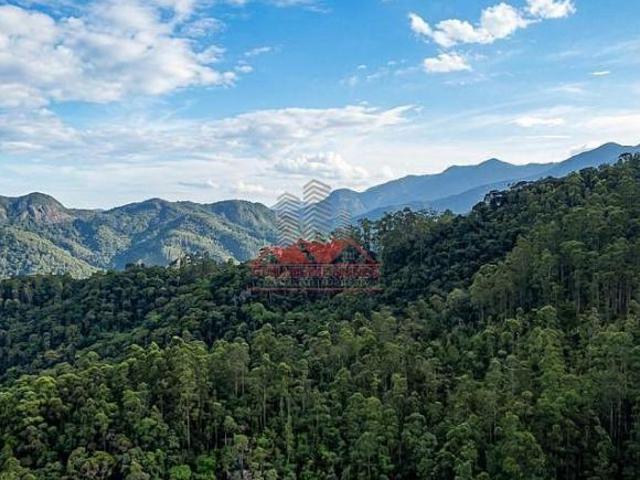 Fazenda 50 Alqueires com Madeira em Delfim Moreira MG Venda