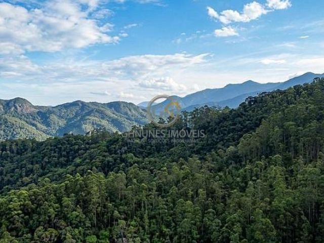 Fazenda 50 Alqueires com Madeira em Delfim Moreira MG Venda