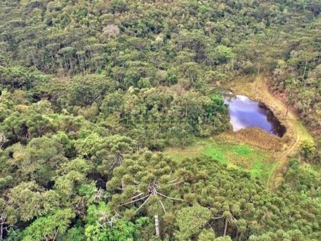Fazenda