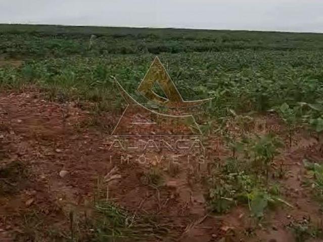 Fazenda para venda em Centro, Casa Branca
