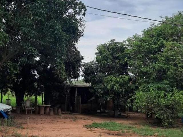 Fazenda