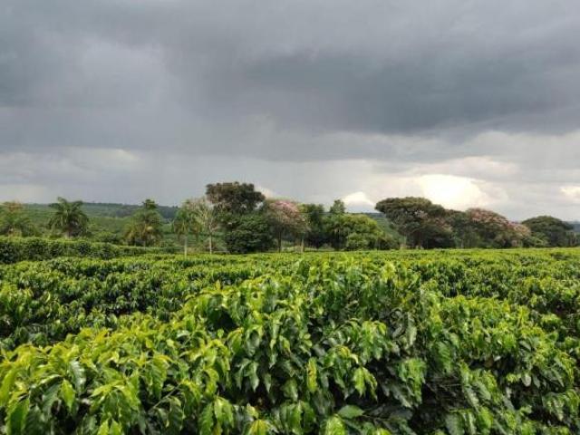 Fazenda