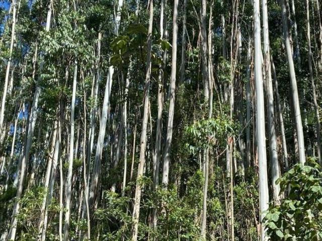 Fazenda