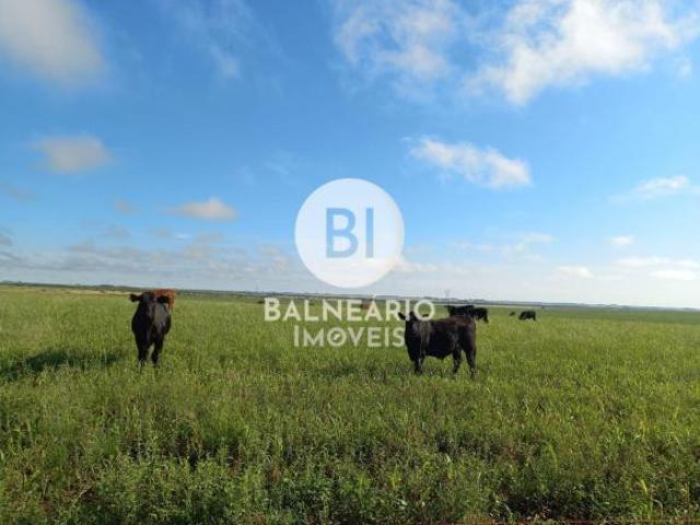 Fazenda