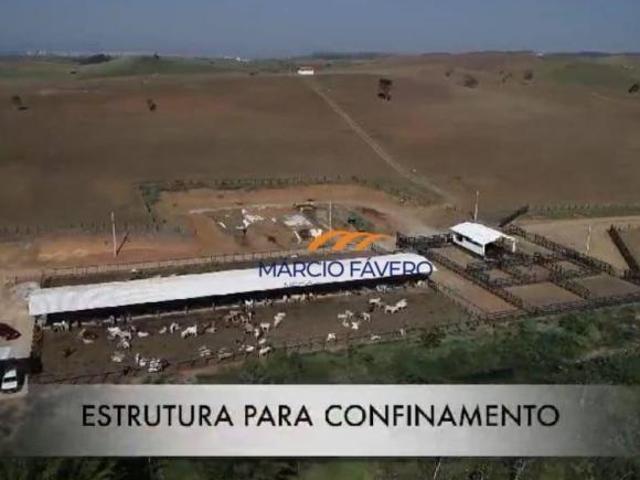 Fazenda