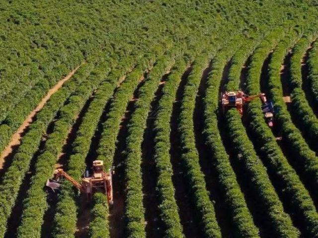 Fazenda