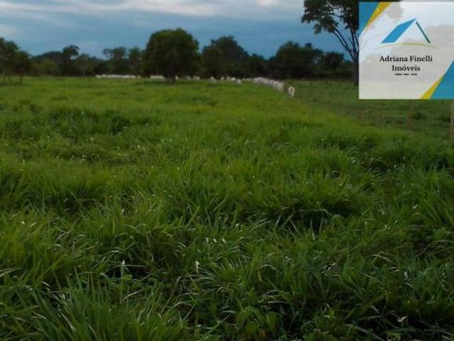 Fazenda