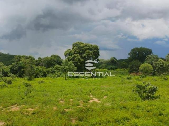 Fazenda