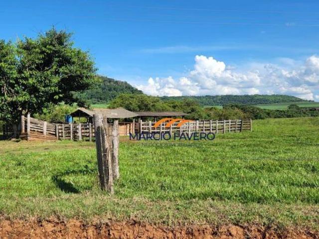Fazenda