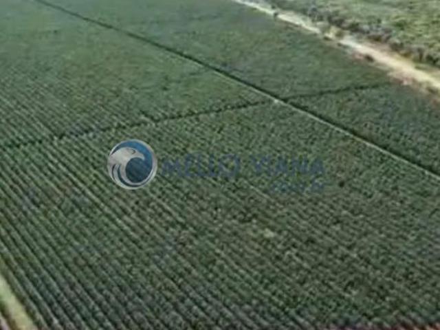 Fazenda
