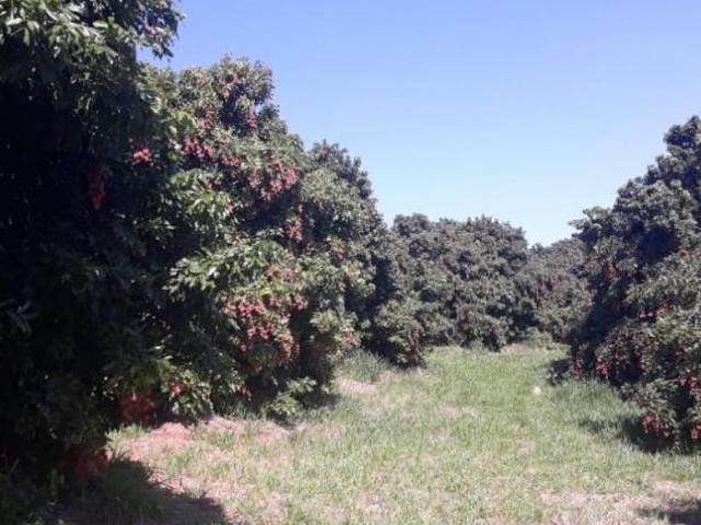 Fazenda