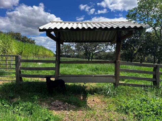 Fazenda 52 hectares em Curvelo/MG