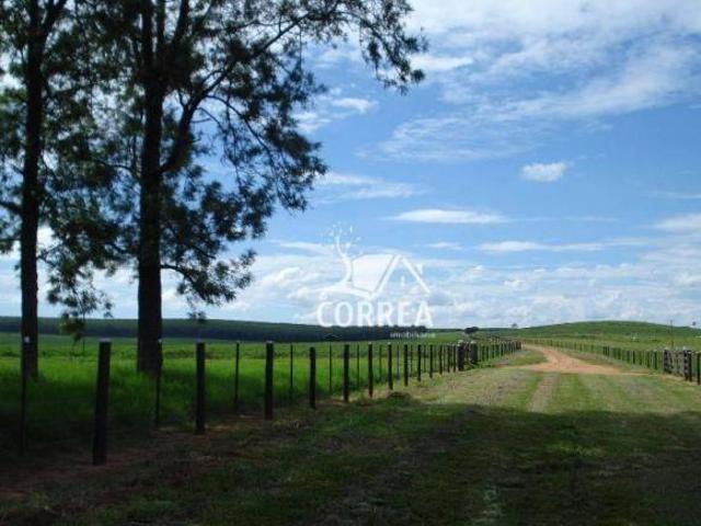 Fazenda para venda em Marília