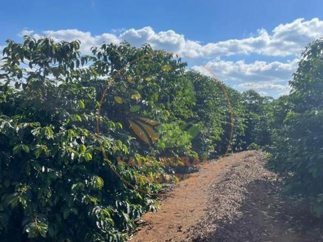 Fazenda para venda em Centro, São Lourenço
