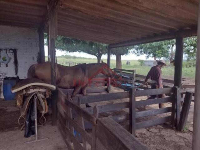 Fazenda