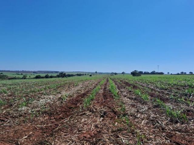 Fazenda para venda em Área Rural de Fernandópolis, Fernandóp