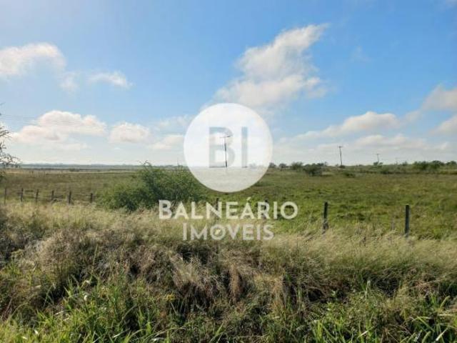 Fazenda para venda em Área Rural de Alegrete, Alegrete
