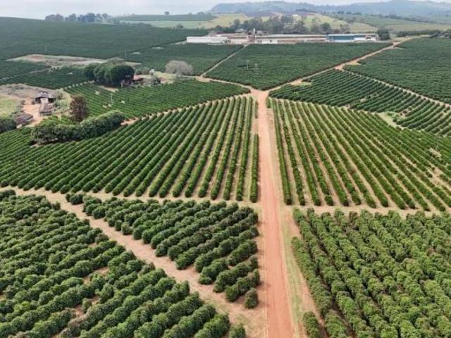 FAZENDA 640 hectares CAFEEIRA SUL DE MINAS MG. PARAGUAÇU