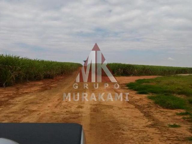 Fazenda