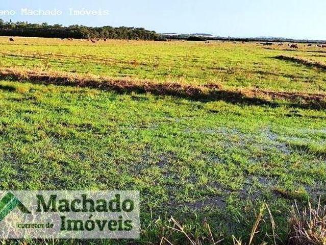 Fazenda