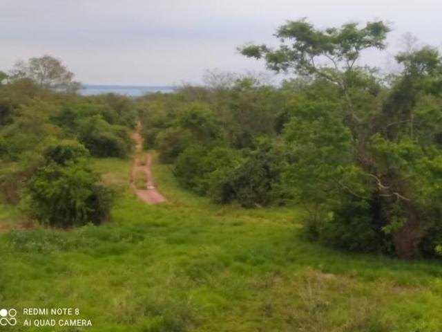 Fazenda