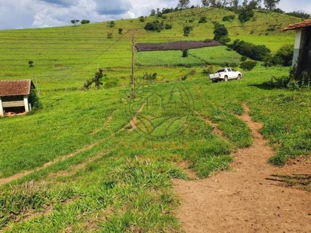 Fazenda