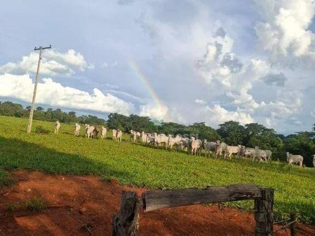 Fazenda